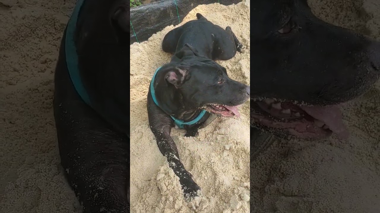 First sand box #reaction