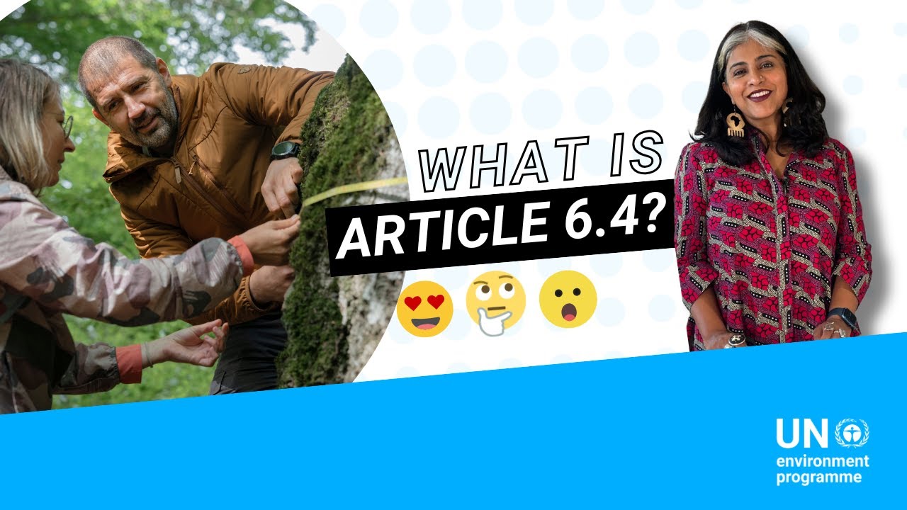 How can Article 6 shape the future of forests? #climateaction