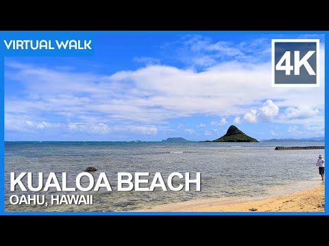 Kualoa Regional Park 4K Virtual Walking Tour - Oahu, Hawaii Beach Walk & Travel Guide