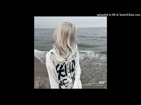 ꧁free꧂ fakemink + ecco2k type beat