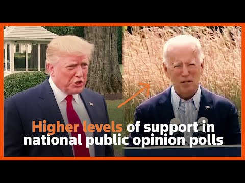 Biden leads Trump nationally by 9 points: Reuters/Ipsos poll