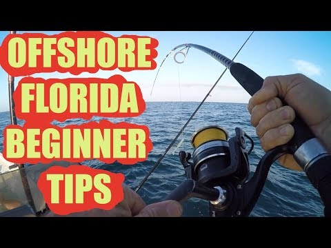 Some Beginner Tips For Offshore Fishing Florida (Steps To Success)