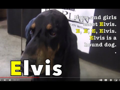 PROPER NOUNS / LONG & SHORT VOWEL SOUNDS / A E I O U / ANIMALS NAMES / EDUCATIONAL KID VIDEO