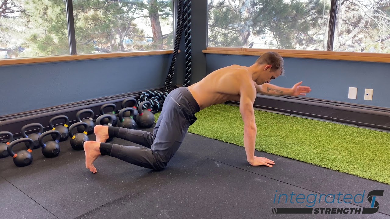 Quadruped Alternating Shoulder Flexion