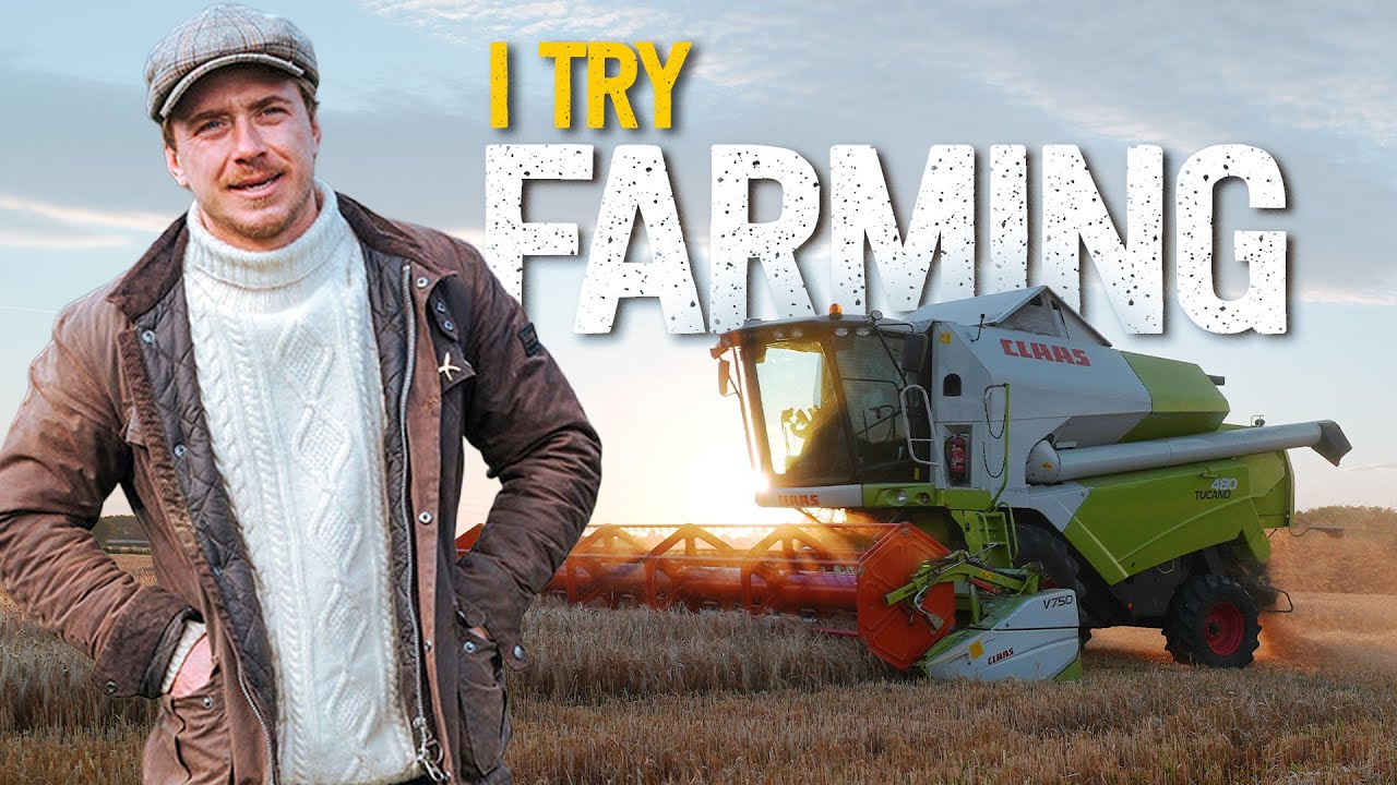 My FIRST HARVEST !!!!