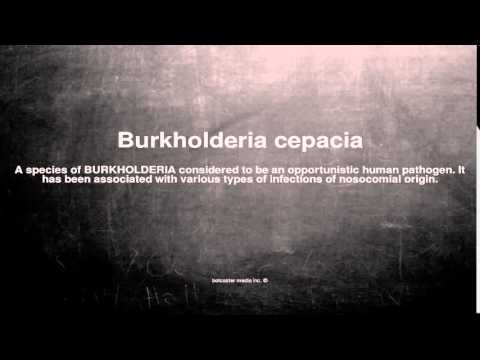Medical vocabulary: What does Burkholderia cepacia mean
