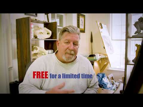 Advanced Animation Course: Free for a Limited Time!