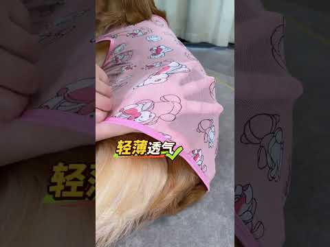 Dog's new clothes are beautiful and cheap. Dog clothes. Cute pets. Pet clothes. Golden retriever