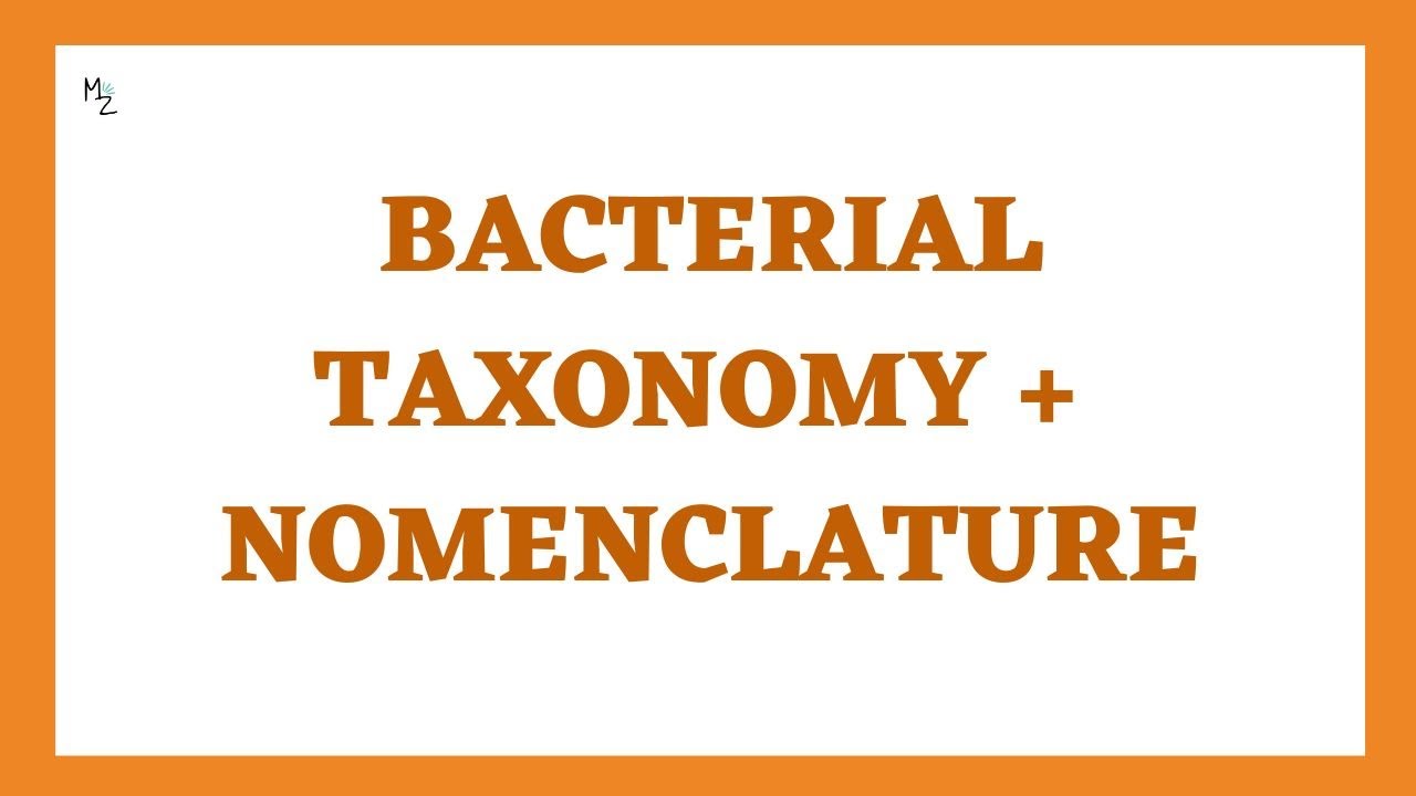Bacterial Nomenclature | Bacterial Taxonomy | Bacteria Names