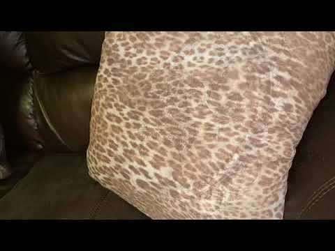 Animal print the decor challenge