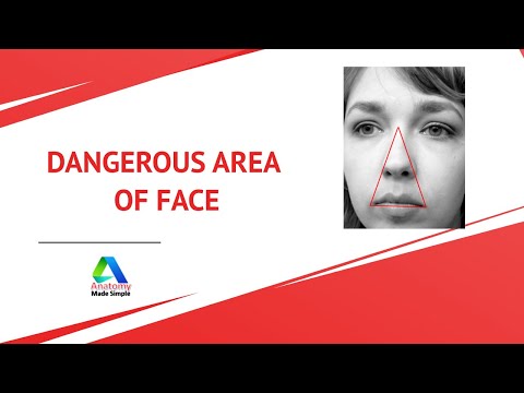 DANGEROUS AREA/TRIANGL OF FACE VIDEO – Anatomy QA