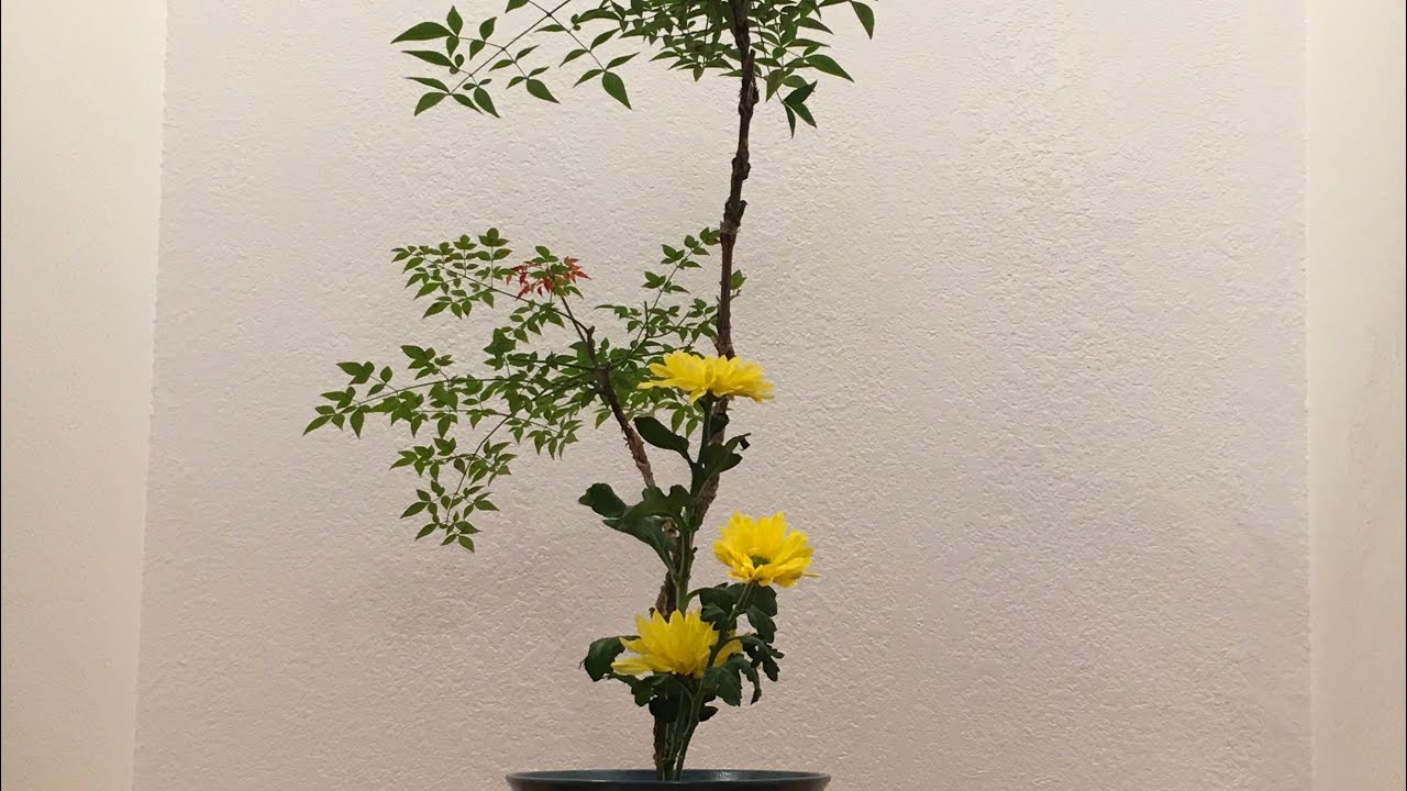 Basic Ikenobo Ikebana Ep 2