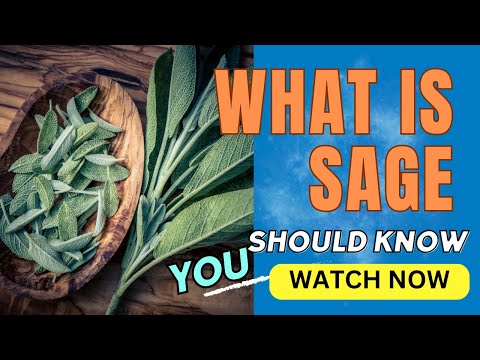 What Is Sage - Meaning of Sage: Intacct Sage | A Deep Dive into the Wise One of Herb