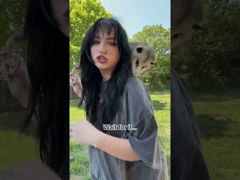 Pet Possum Bites Woman's Shoulder - 1500113
