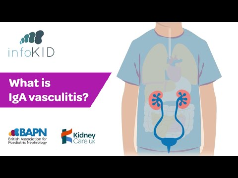 What is IgA vasculitis? (also known as HSP) | Kidney disease | infoKID