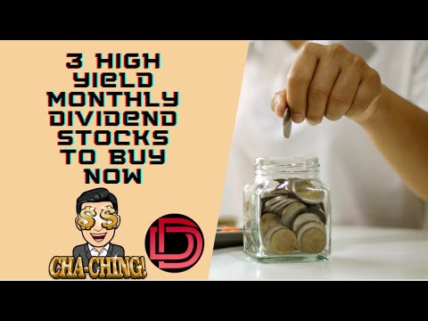 Best Monthly Dividend Stocks to Buy 2021 I High Yield Stocks & Dividend Growth Investing 2021