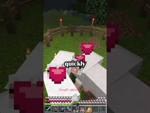 Sheep Farming in Minecraft Tutorial