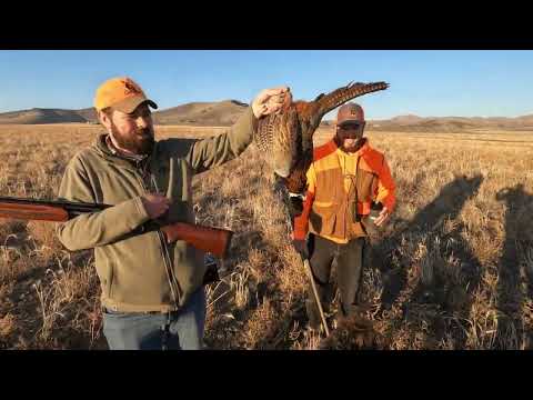 Opening Day of Pheasant Hunting 2022