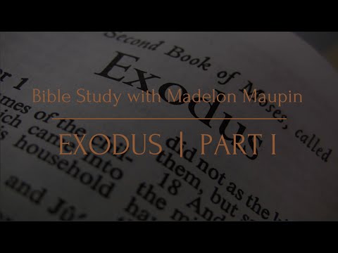 2022 CedarS Bible Study Promo