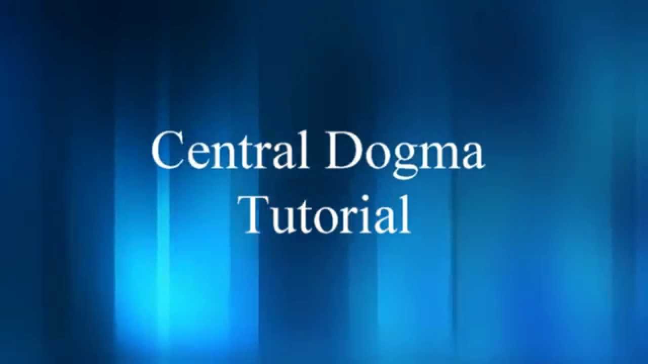 Central Dogma Tutorial IGEM TecCEM_HS