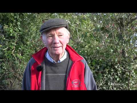 Hallowe'en Folklore and Customs - Peadar Mordaunt, Inch, Gorey, Co  Wexford