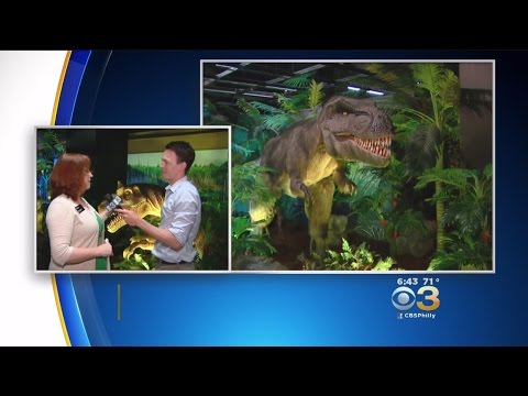 Take A Trip Back In Time With The Academy Of Natural Sciences Dinosaurs Unearthed Exhibit