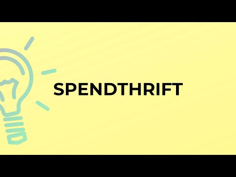 What is the meaning of the word SPENDTHRIFT?