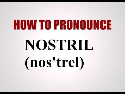 How To Pronounce Nostril