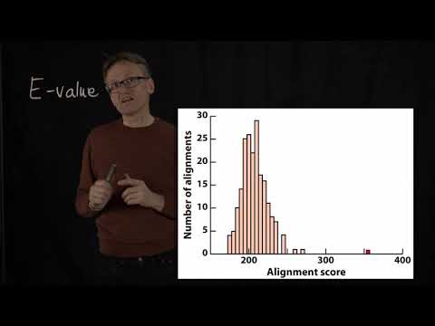 Lecture 11, concept 18: E-values indicate how statistically significant matches are