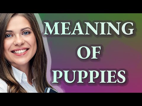 Puppies | meaning of Puppies