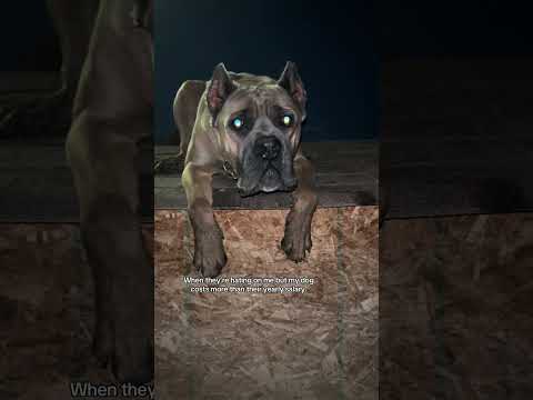 @nika_thecanecorso Haters will say it’s rage bait 🫢 #dog #doglover