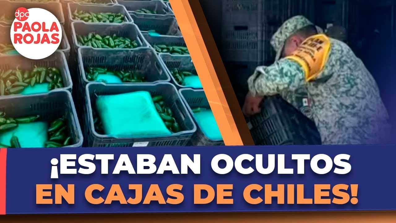 Decomisan más de una tonelada de droga oculta en cajas de chiles | DPC con Paola Rojas