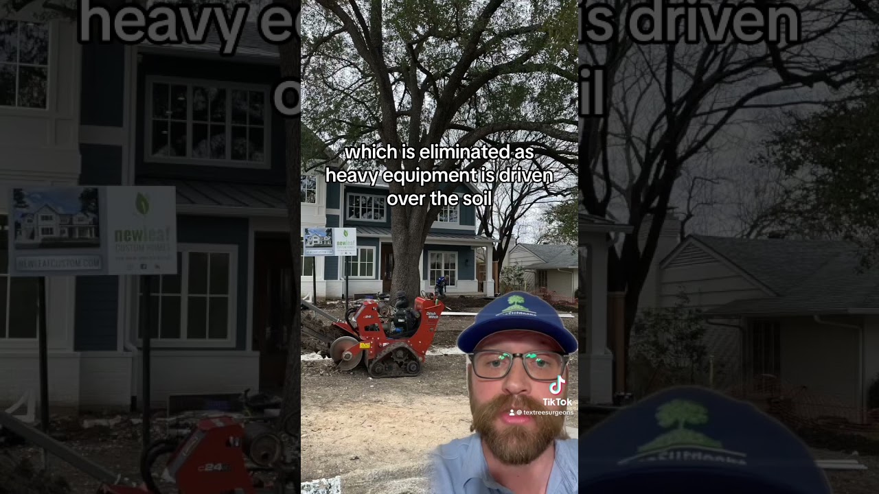 Tree Protection During Construction