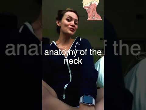 Anatomy of the Neck
