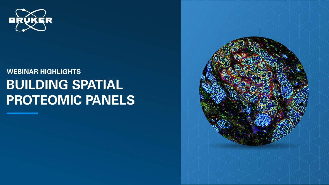 How to Design Spatial Proteomic Assays with the CellScape™ Platform