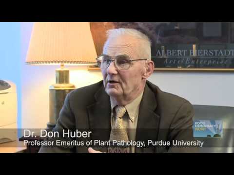 FDN! entrevista al Dr Don Huber- Roundup, GMOs y Nuevo Organismo que ...