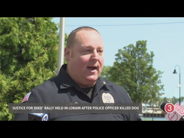 Elliott Palmer petition amasses over 16,590 signatures after cop ...