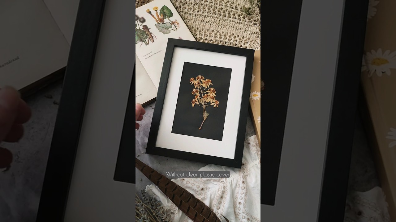 Set of 2 Vintage Herbarium in Black Frames - Link in Description