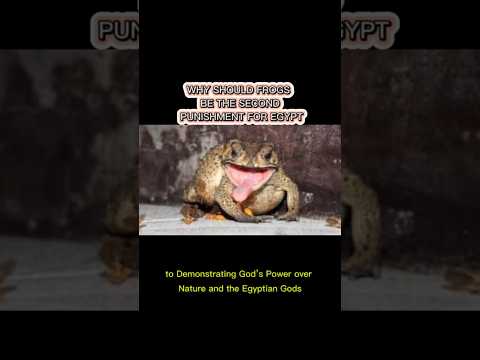 WHY GOD SEND FROG NOT THE OTHER ANIMAL? #HISTORY #bible