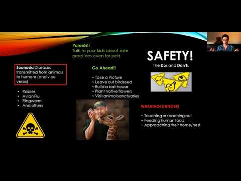 Kids Discover - Wild Animals & Humans Pt 1