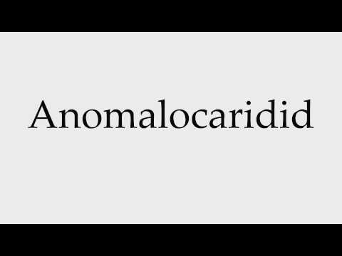 How to Pronounce Anomalocaridid