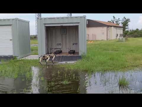 Vision 60 Robot Dog - Prepared for All Missions and Terrains