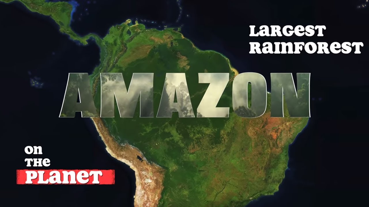The Amazon Rainforest - Origin and Destiny