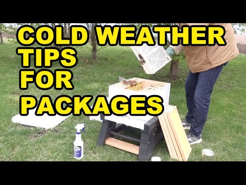 Beekeeping | Cold Weather Tips For Installing A Package Of Bees