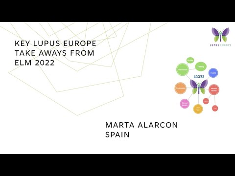 Can we Categorise the Heterogeneity of Lupus?