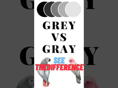difference between grey and gray