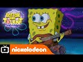 Spongebob Caping Watch HD Mp4 Video Download Free