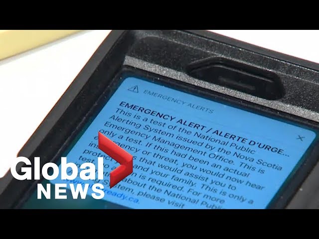 Oliver Williams missing: Amber alert issued for 3-year-old missing boy ...