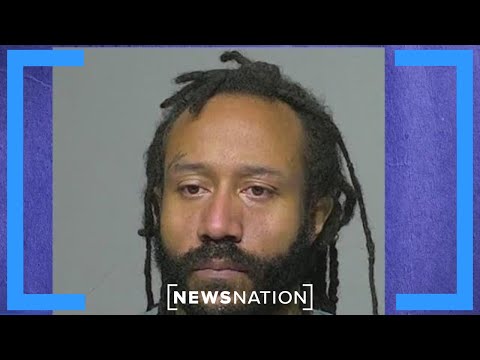 Man accused of Christmas parade attack represents himself | Dan Abrams Live
