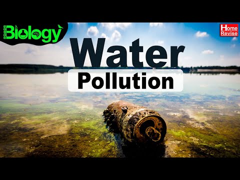 Water Pollution | Pollution - Sources & Effects | Part 1 | Home Revise